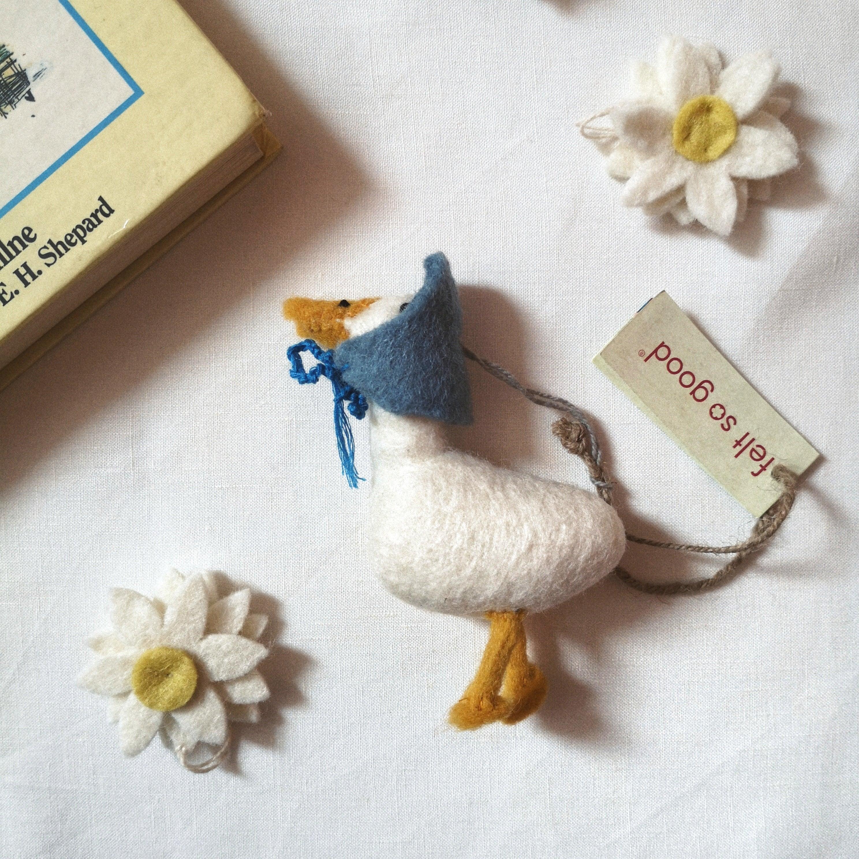 Amy duck – Stellina